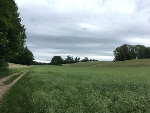 2023 Best 10 Trails and Hikes in Gauting | AllTrails