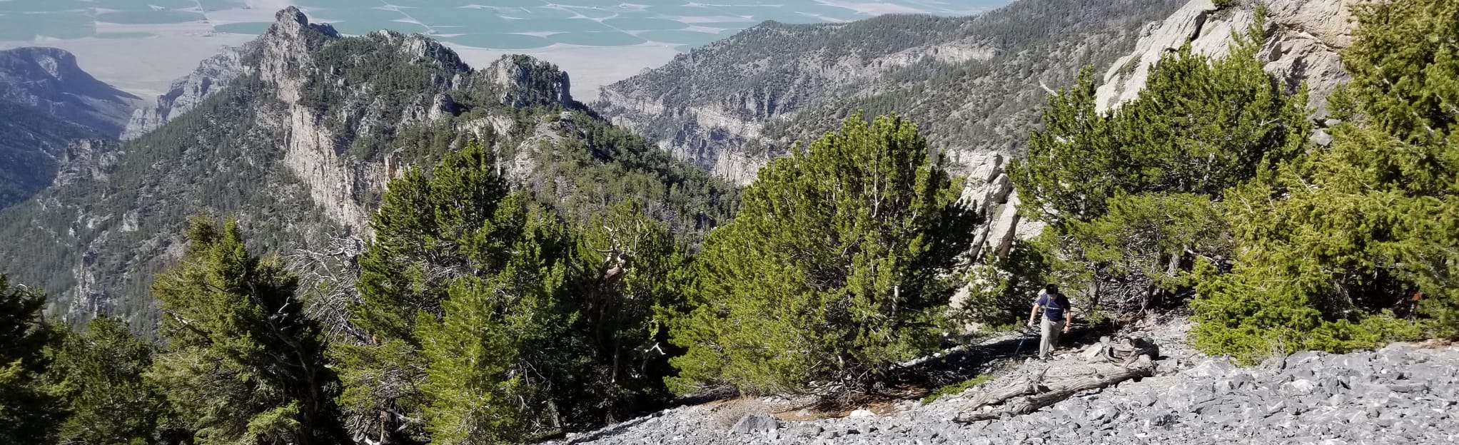 Saddle Mountain via Middle Canyon: 6 Reviews, Map - Idaho | AllTrails