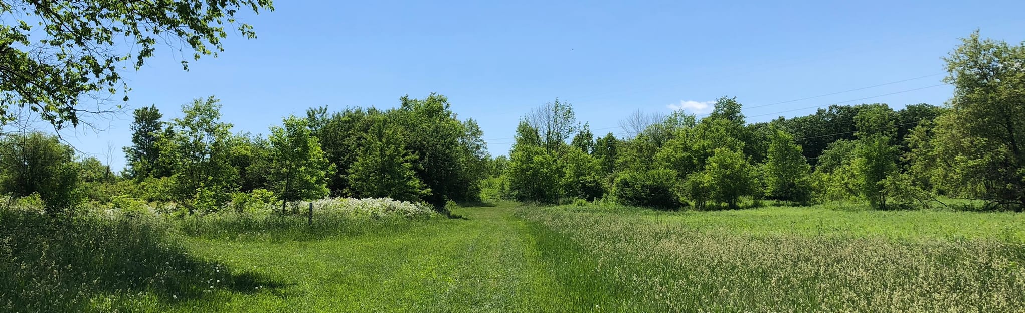 Minooka Park Yellow Trail | Map, Guide - Wisconsin | AllTrails