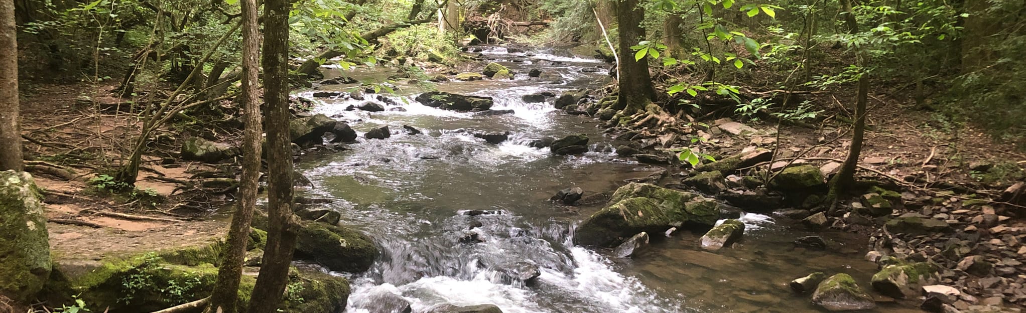 Fiery Gizzard Loop | Map, Guide - Tennessee | AllTrails