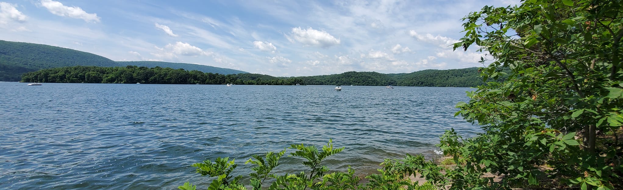 Old Loggers Trail and Sheep Rock Spur: 59 Reviews, Map - Pennsylvania ...