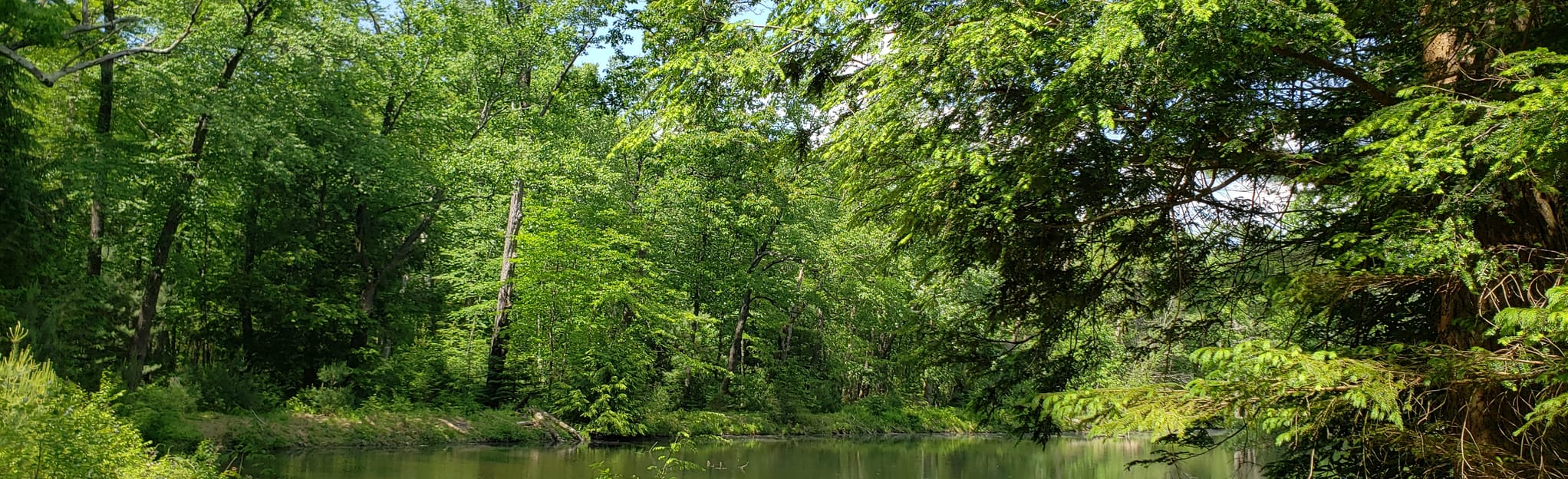 Shamokin Reservoir Loop via Roaring Creek Trail, Pennsylvania - 44 ...