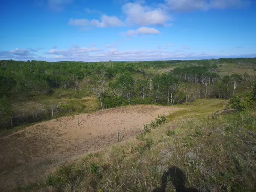 Best Wild Flowers Trails in Senlac | AllTrails