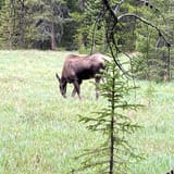 Little Yellowstone via Colorado River and Little Yellowstone Trail ...