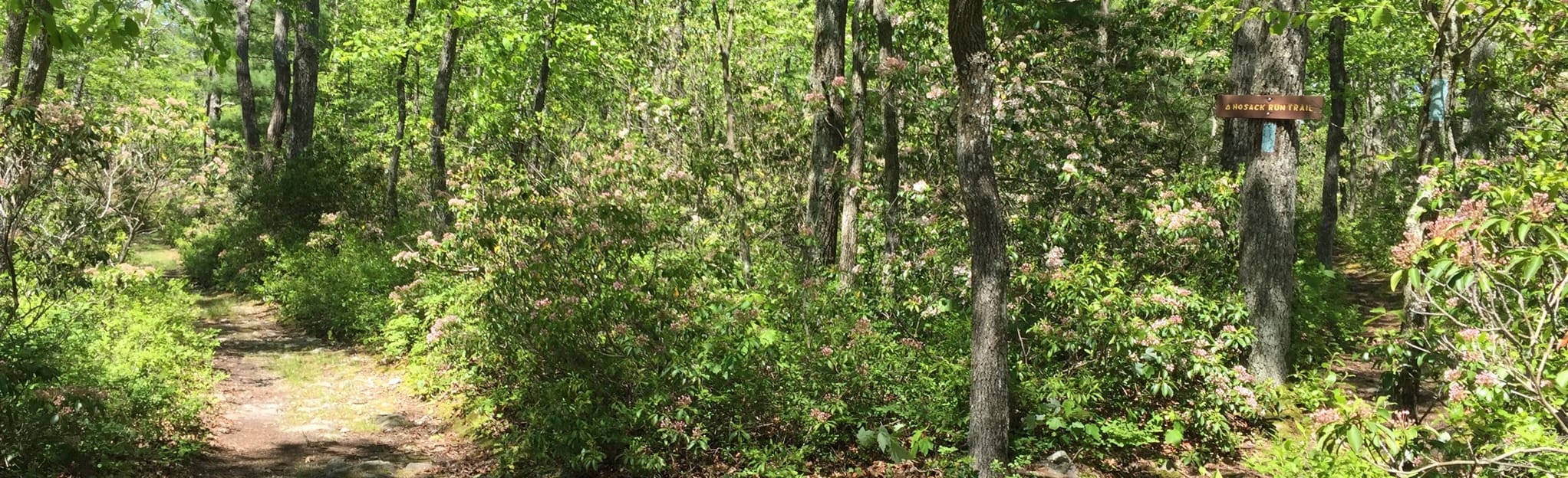 Appalachian Trail, Hosack Run and Locust Gap Loop - Pennsylvania ...