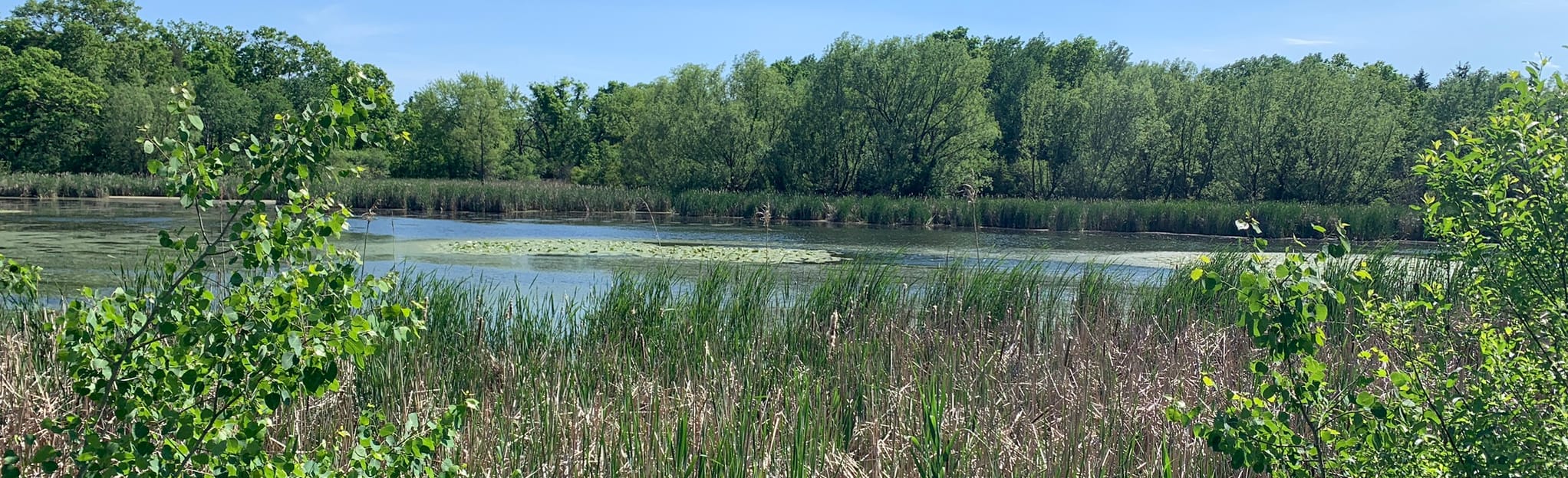 Ice Age Trail: Lapham Peak, Wisconsin - 381 Reviews, Map | AllTrails