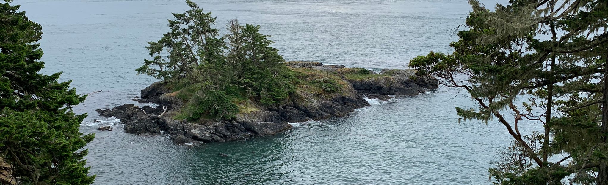 Anderson Cove and Copper Mine Loop - British Columbia, Canada | AllTrails
