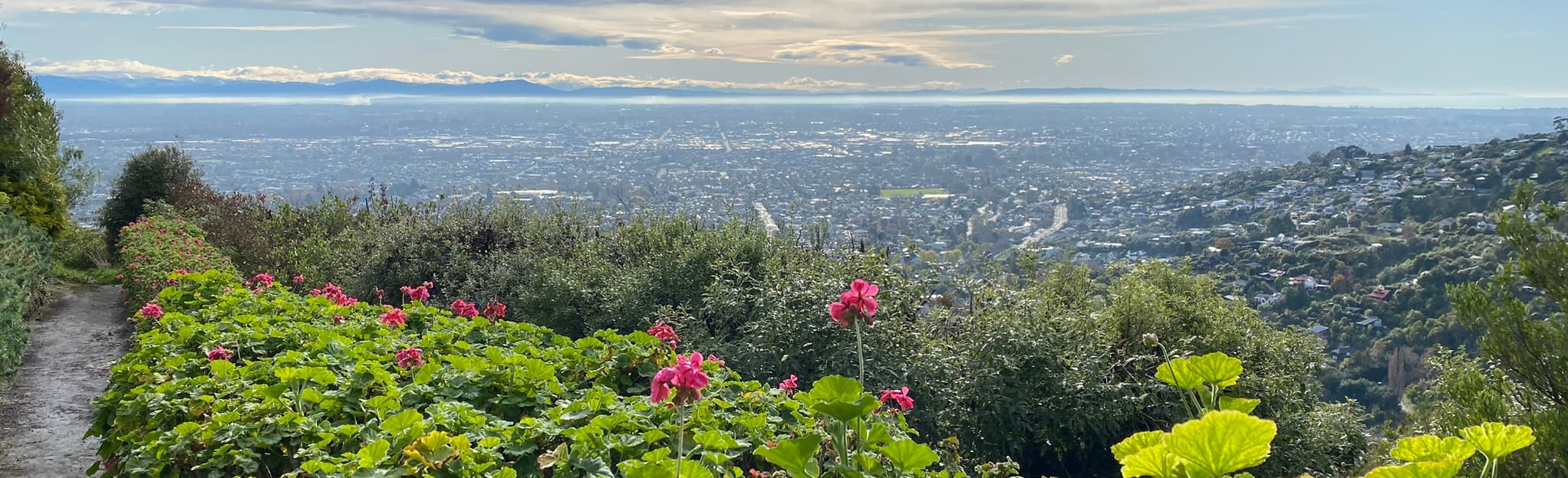 Hidden Valley Track to Victoria Park Loop: 162 foto's - Canterbury ...
