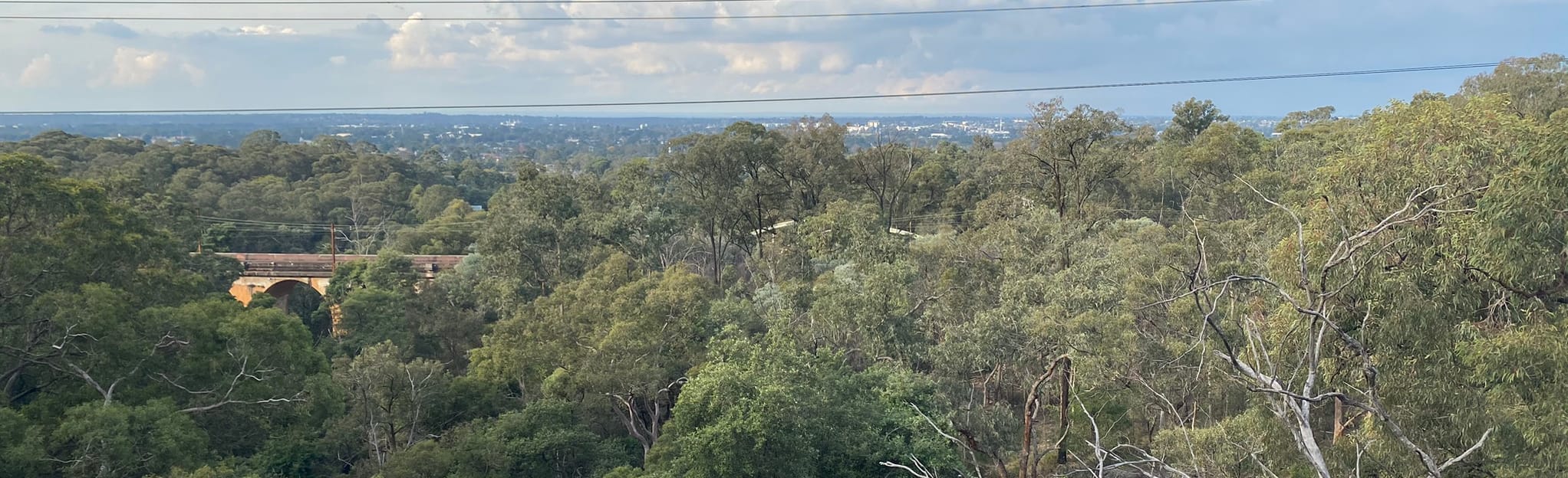 Elizabeth Lookout Loop, New South Wales, Australia - 118 Reviews, Map ...