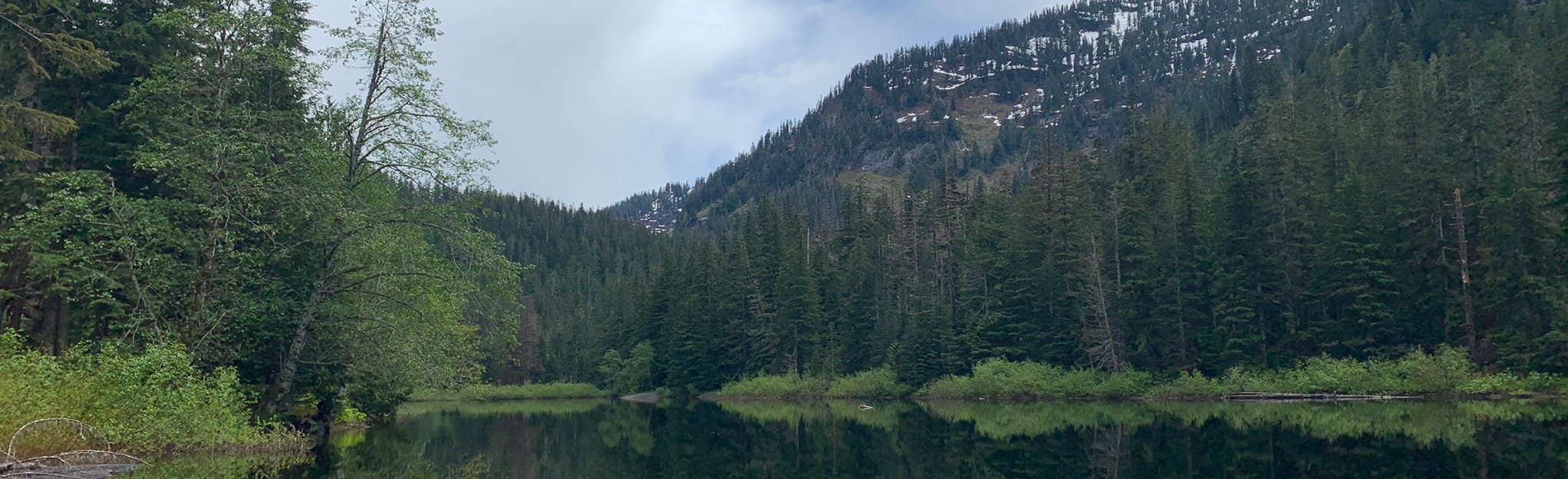 Barclay Lake Trail: 1593 Reviews, Map - Washington | AllTrails