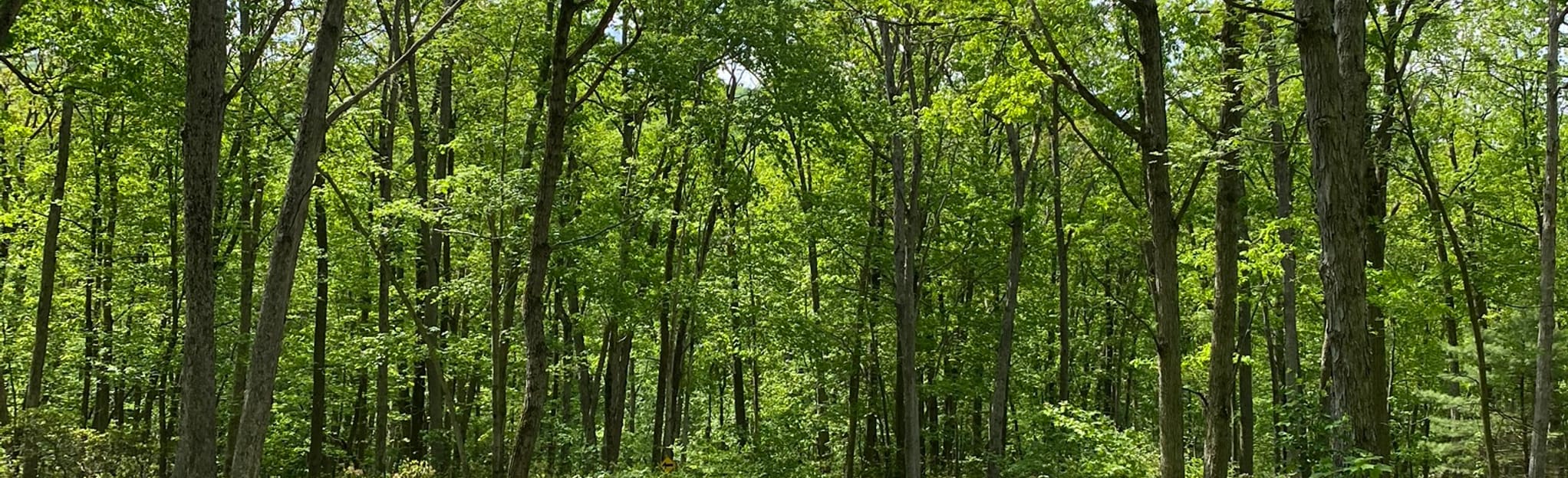 Ground Oak Trail, Pennsylvania - Map, Guide | AllTrails