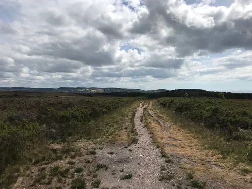 Best Lake Trails in East Devon National Landscape (AONB) | AllTrails