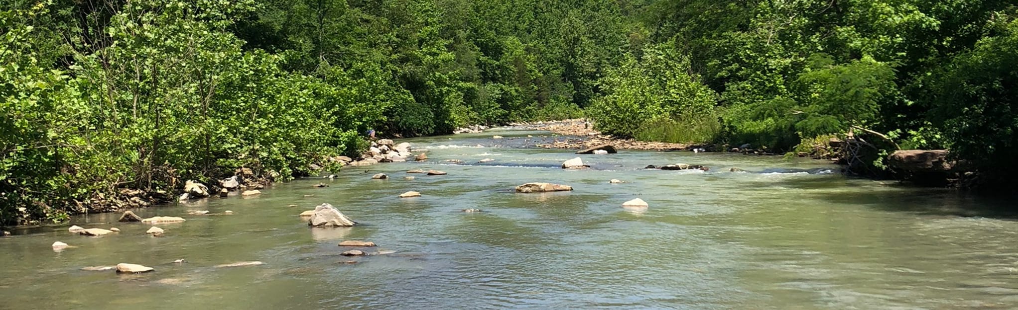 Fossil Flats Trail - Arkansas | AllTrails