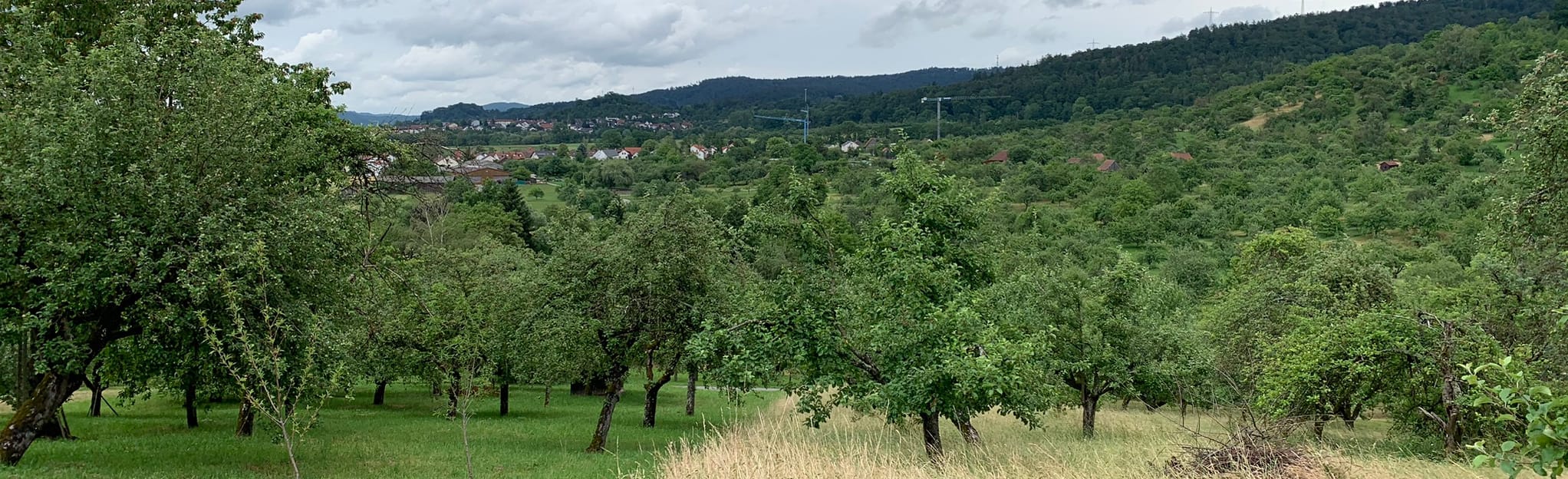 Zwischen Winterbach und Schlichten, Baden-Wuerttemberg, Germany - Map ...
