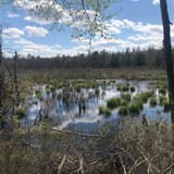 Barber Reservation Loop, Massachusetts - 141 Reviews, Map | AllTrails