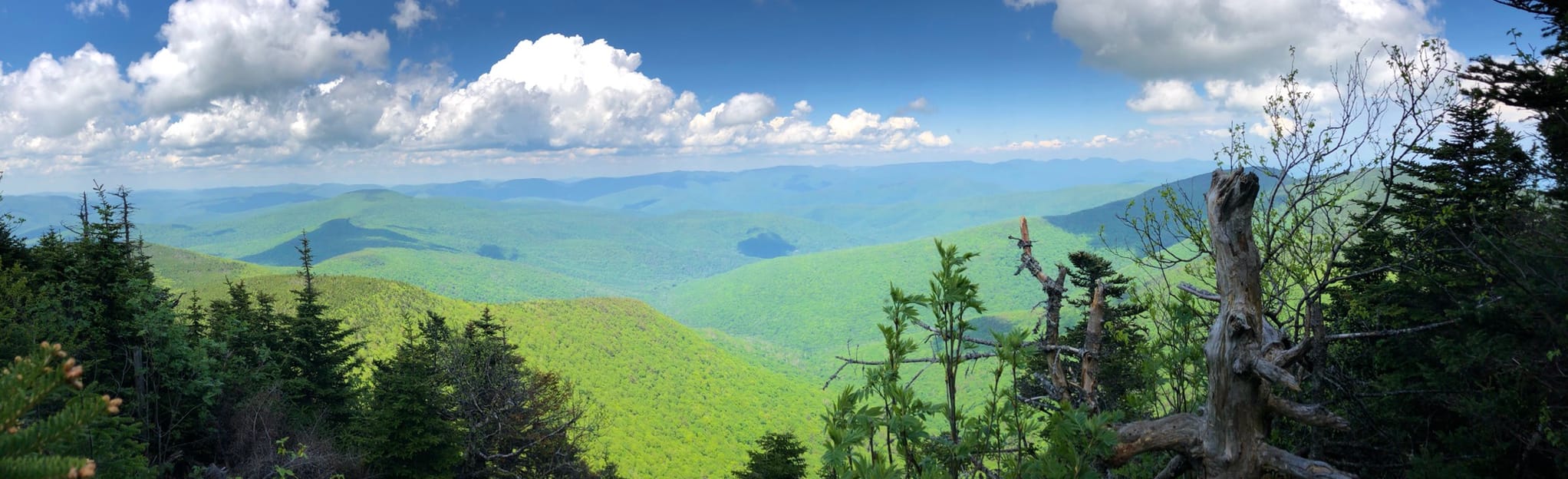 Slide Mountain via Phoenicia-East Branch Trail: 57 Reviews, Map - New York | AllTrails