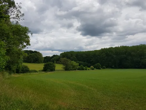 10 Best Hikes and Trails in Kent Downs National Landscape (AONB ...