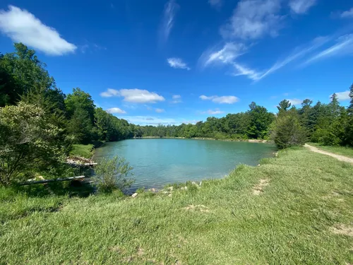 10 Best Hikes and Trails in Simcoe County Forest | AllTrails