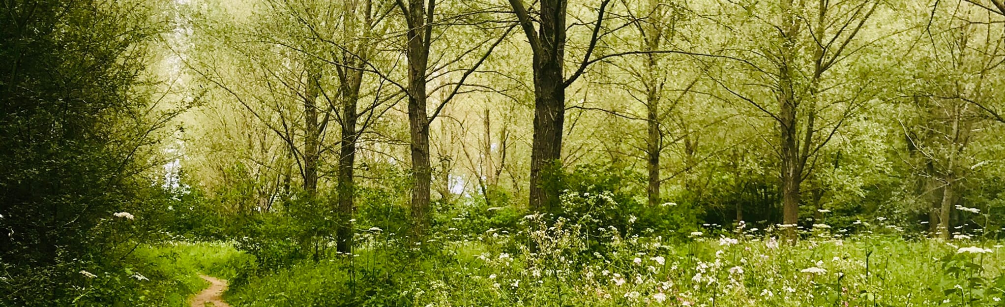 Brimpton and The River Enborne Circular, 180 Fotos - Berkshire, England ...