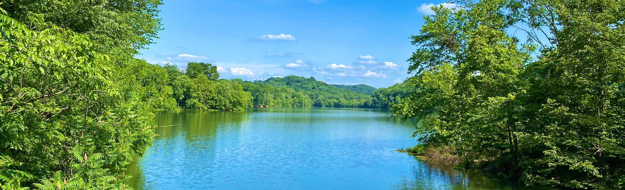Radnor Full Lake and Ganier Ridge Trail Loop: 3.606 foto's - Tennessee ...