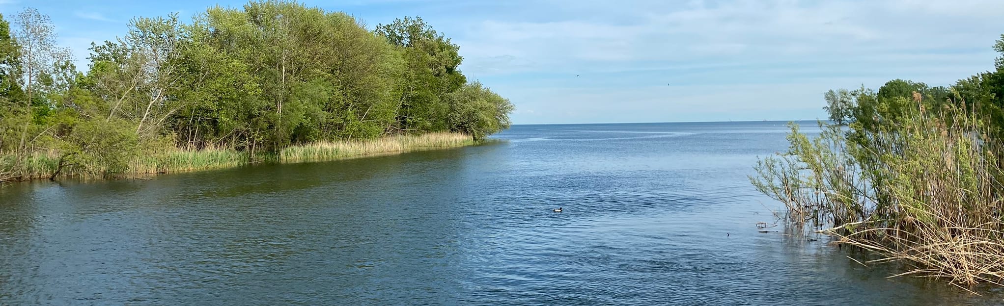Lake Erie Metropark Greenway: 91 Reviews, Map - Michigan | AllTrails