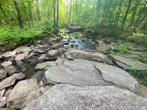 10 Best Walking Trails in Worcester | AllTrails