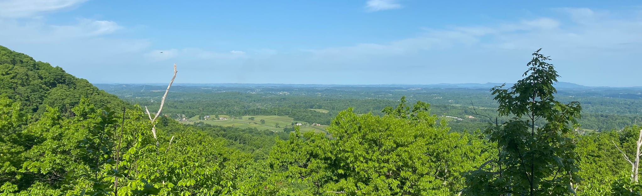 Buffalo Mountain Tip Top Trail via White Rock Loop and Fork Knob ...
