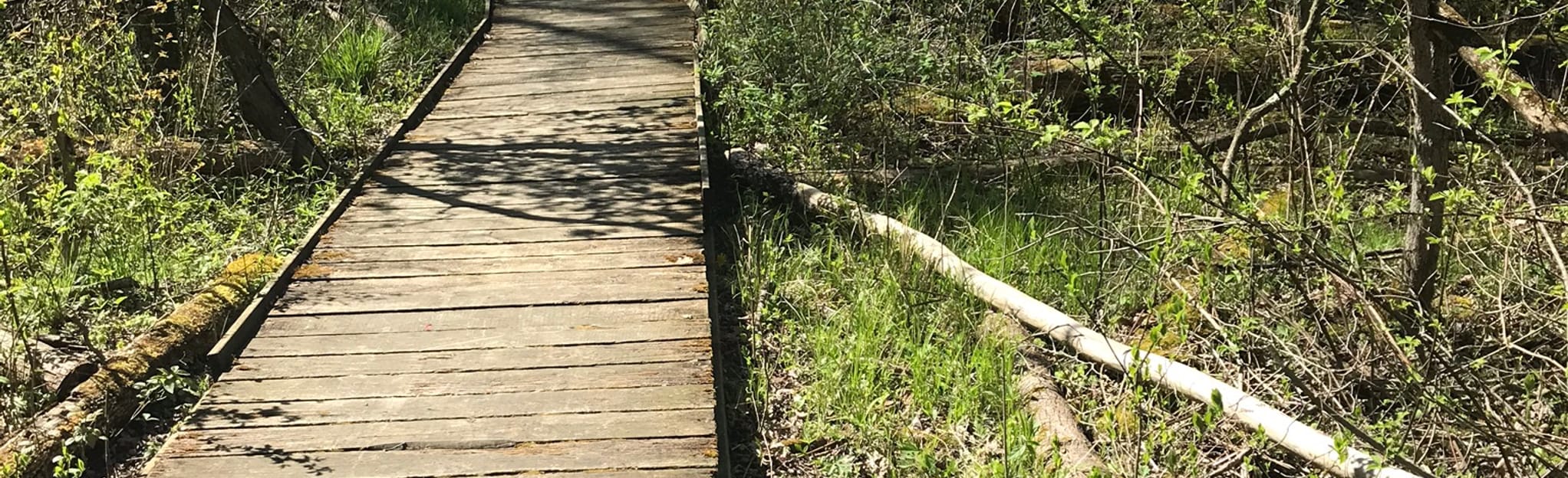 Fowler Woods Nature Preserve Loop, Ohio - 51 Reviews, Map | AllTrails