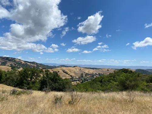 Best Hikes and Trails in Lucas Valley Open Space | AllTrails