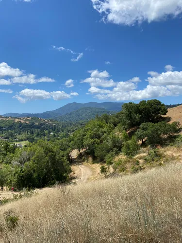 10 Best Trails and Hikes in San Rafael | AllTrails