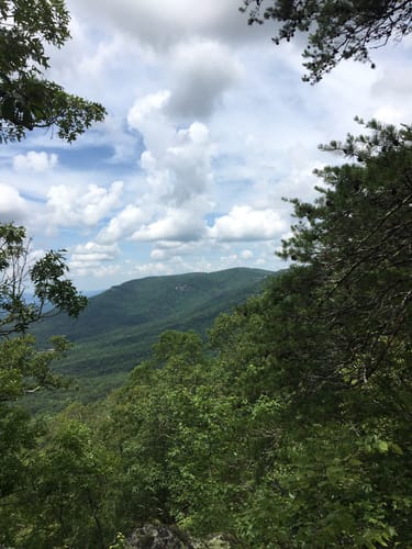 Best 10 Hikes and Trails in Cheaha Wilderness | AllTrails