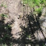 Lake Williams and Lake Redman, Pennsylvania - 180 Reviews, Map | AllTrails