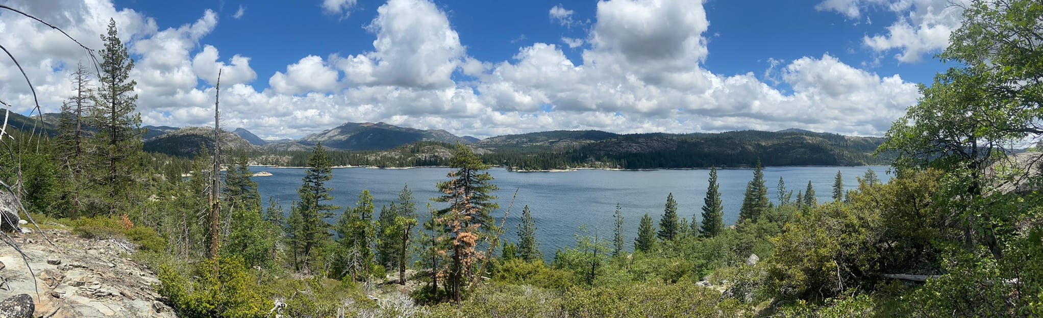 Spaulding Lake Trail, California - 1,224 Reviews, Map | AllTrails