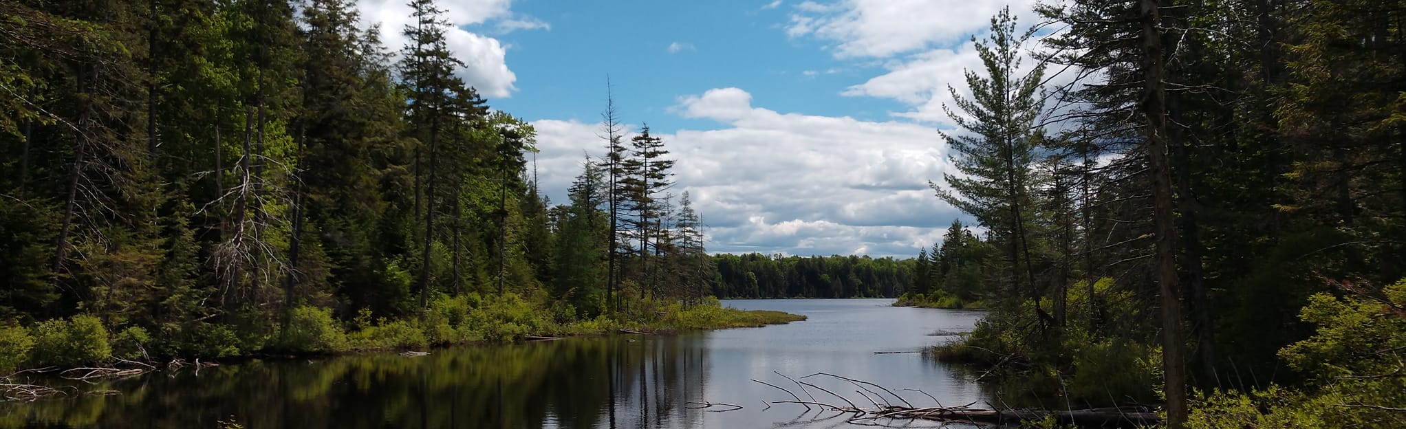 Aldrich Pond Wilderness Trail, New York - 7 Reviews, Map | AllTrails