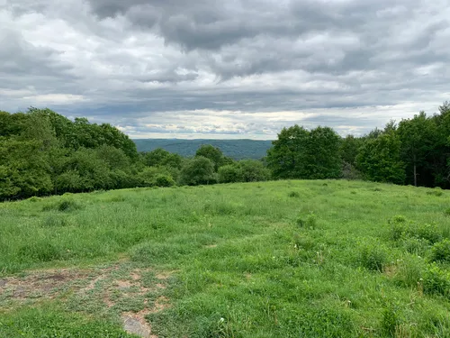 2023 Best 10 Forest Trails in Hanover | AllTrails