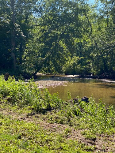 Best Hikes and Trails in Henson Creek Park | AllTrails