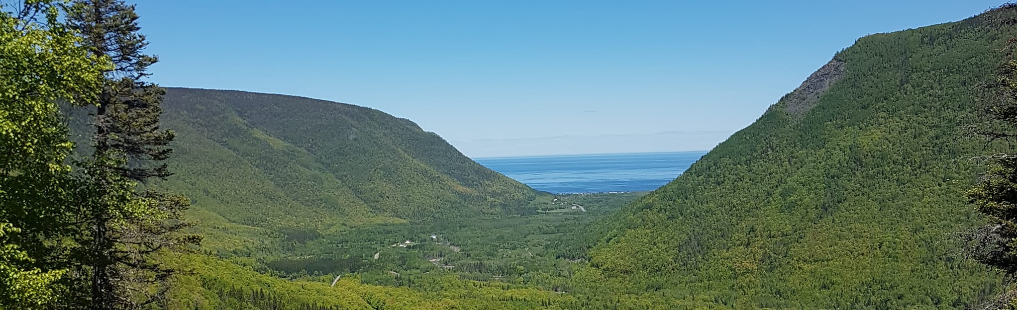 Sentier International des Appalaches - descente Refuge des Cabourons ...