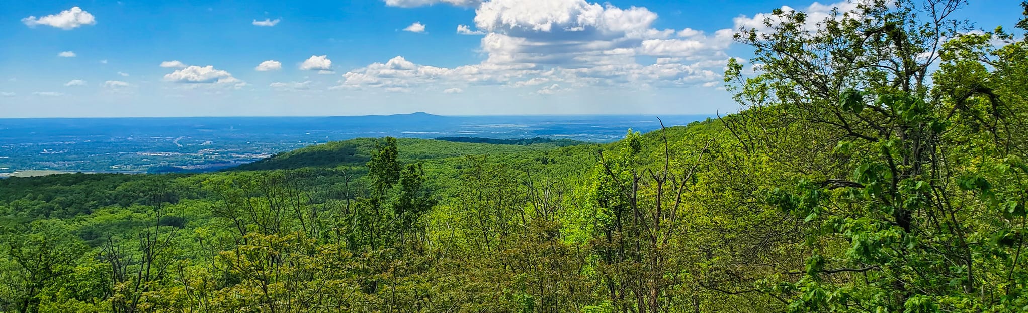 Gambrill Yellow Trail: 652 Reviews, Map - Maryland | AllTrails