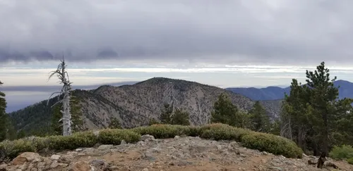 10 Best Trails and Hikes in Azusa | AllTrails