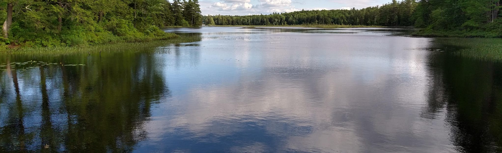 Hubbard Pond Loop - New Hampshire | AllTrails