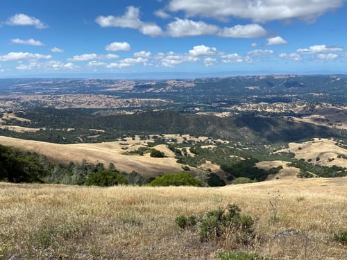 2023 Best Short Trails in Mount Diablo State Park | AllTrails