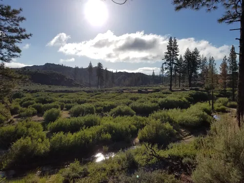 10 Best Trails and Hikes in Frazier Park | AllTrails