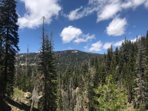 Best 10 Hikes and Trails in Sierra National Forest | AllTrails