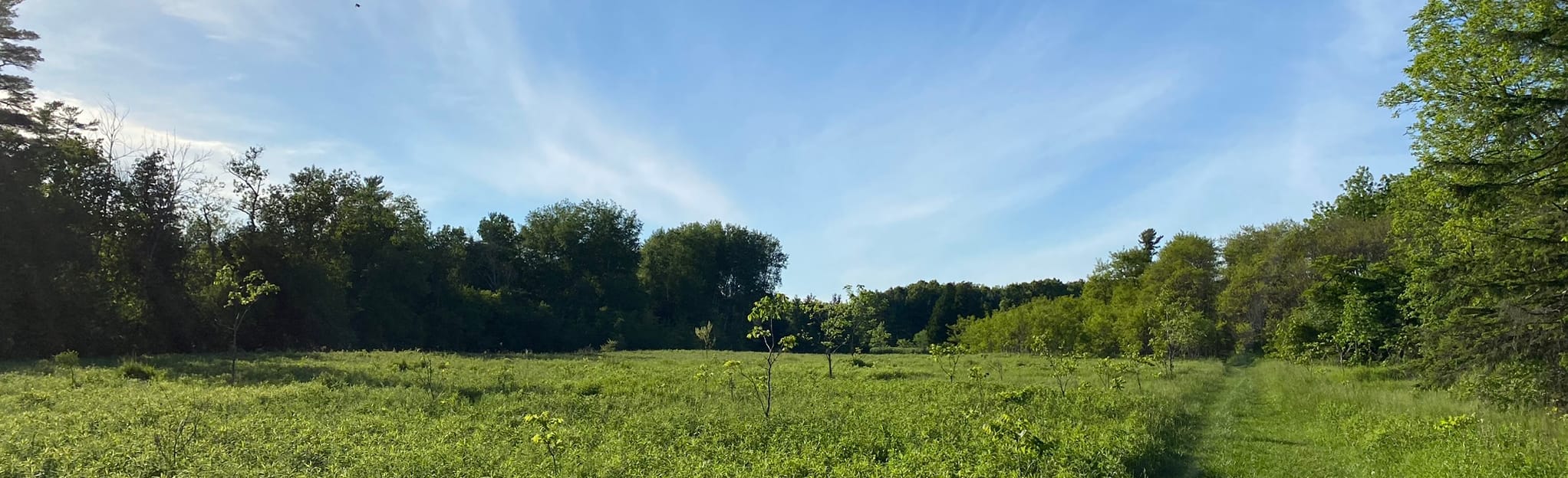 Maple Lane/Grand Allee Trail: 181 foto's - Ontario, Canada | Wandelen ...