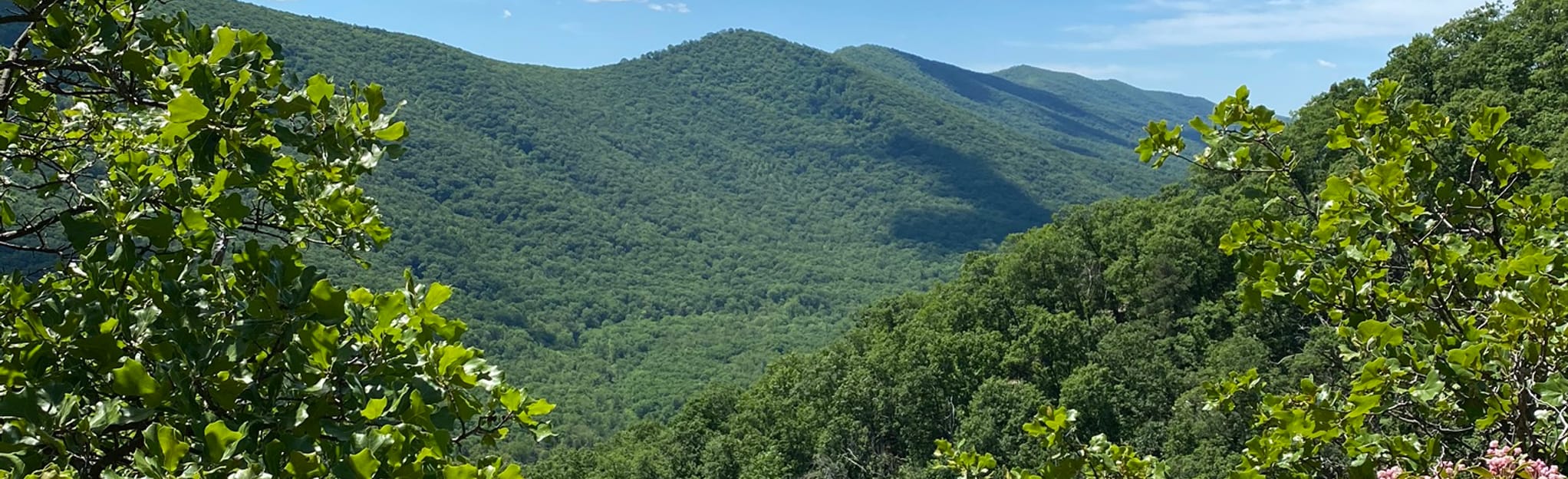 Signal Knob Loop Trail 799 Reviews Map Virginia Alltrails