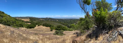 Best Views Trails in Edgewood Park and Nature Preserve | AllTrails