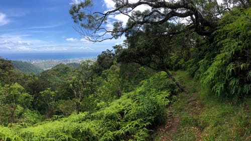 2023 Best 10 River Trails in Honolulu | AllTrails