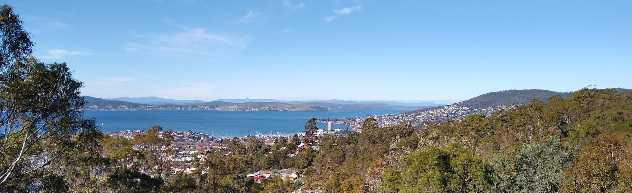 Knocklofty Summit Loop, Tasmania, Australia - 163 Reviews, Map | AllTrails