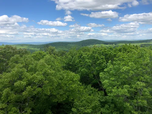 Best Hikes and Trails in Haystack Mountain State Park | AllTrails