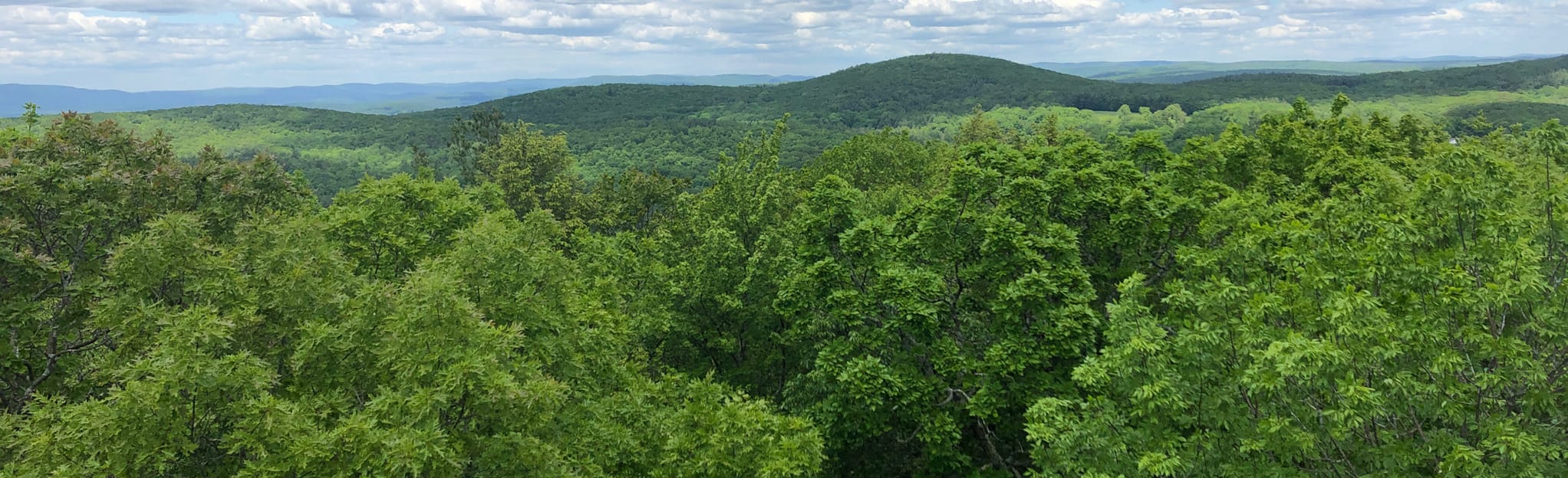 Haystack Tower Yellow Loop : 544 photos - Connecticut | AllTrails